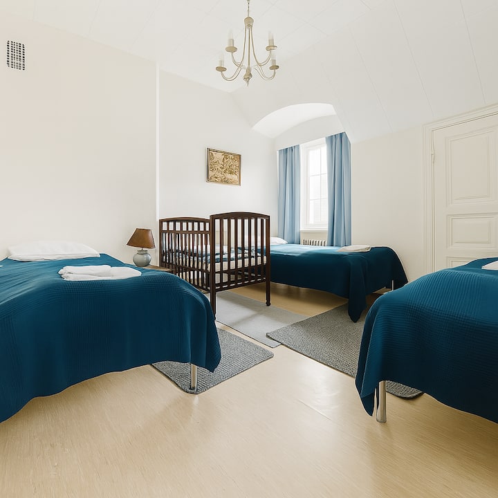 Family  Room With Cathedral View - Helsinki