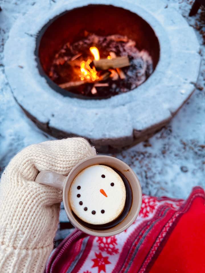 Winter Escape:sauna + Firepit + Ev Charger+setups - Bracebridge