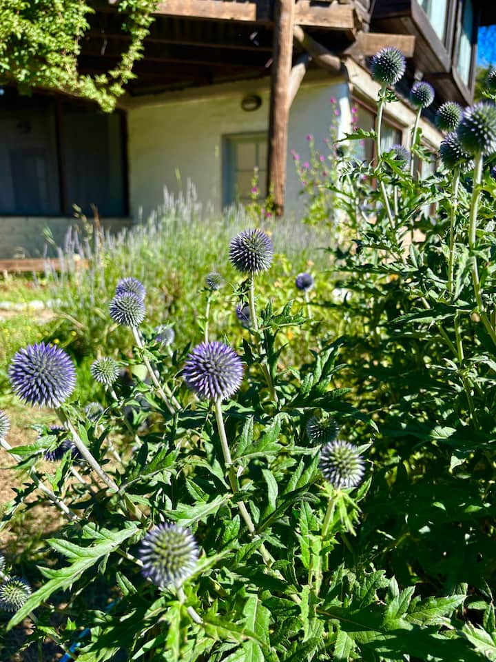 Departamento Pinar De Festa - Bariloche