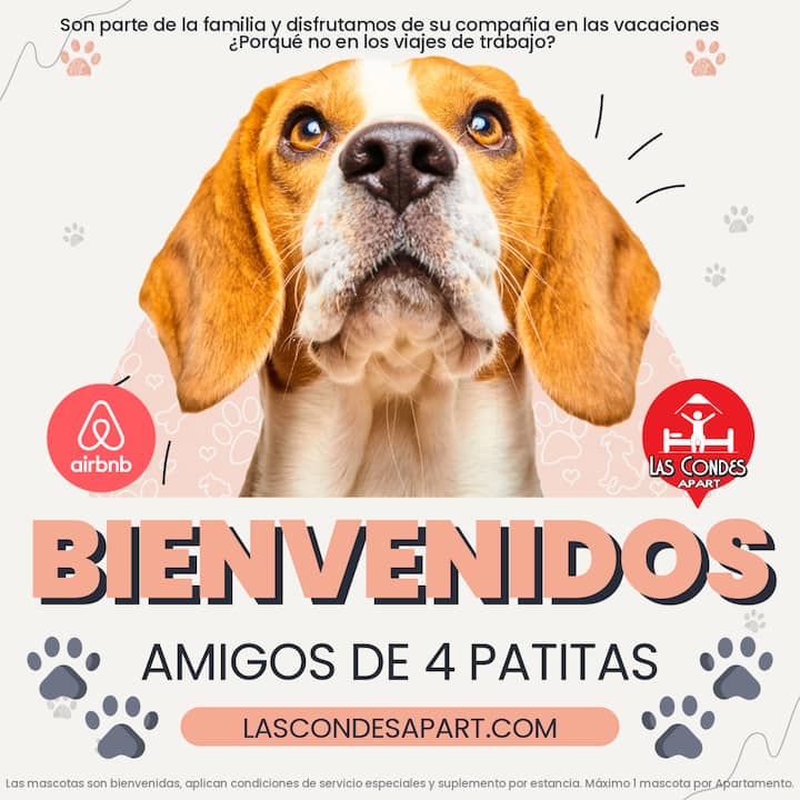 Perumin 37 A 4km Cerro Juli Céntrico Factura - Arequipa