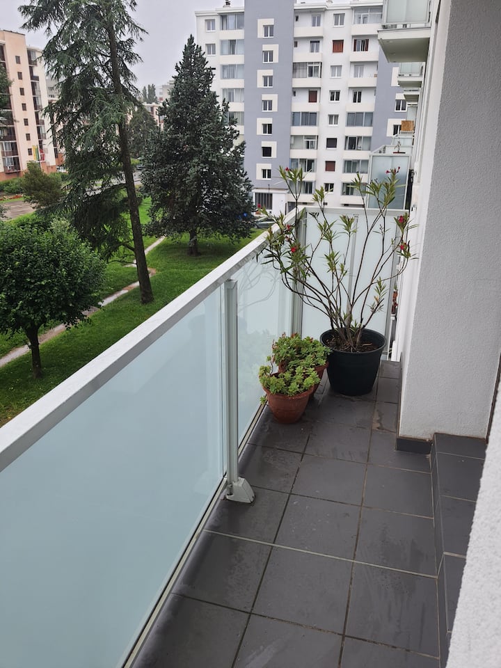 2 Chambres. Parking. 2 Balcons. Ascenseur. Wifi - Saint-Martin-d'Hères