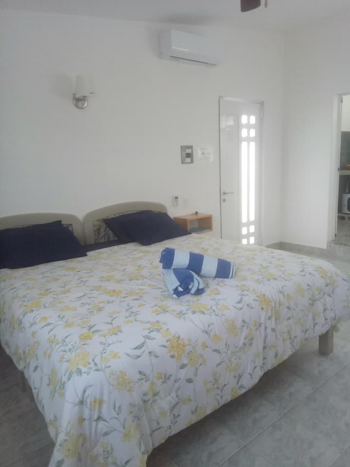 Estudio Coatí Azul En Isla De Cozumel En El Caribe - Cozumel