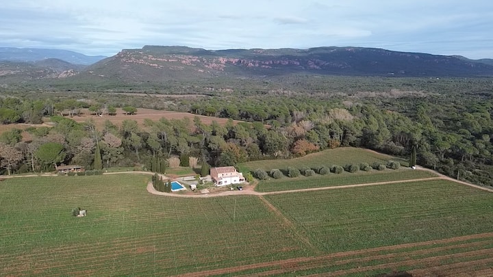 Gitedeprovence - Les Arcs sur Argens