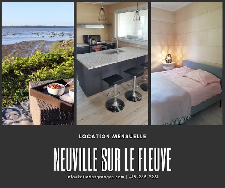 Neuville Sur Le Fleuve - 2 Chambres Queen - Quebec