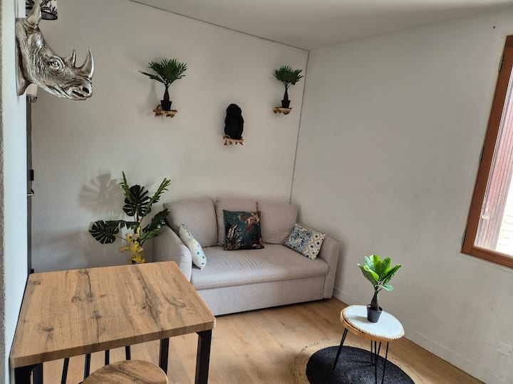 Appartement Jungle, Centre Ville - Narbonne