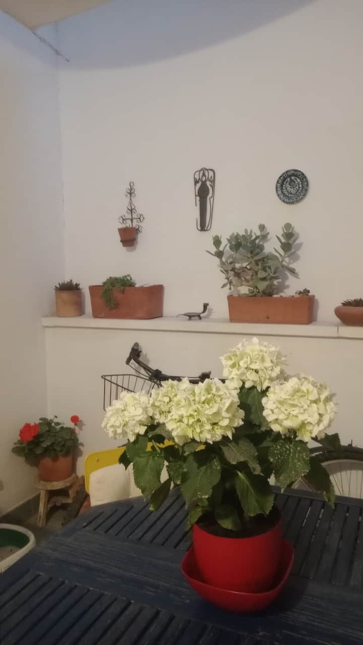 Piso Luminoso Para Dos Con Patio Al Aire Libre - Almería