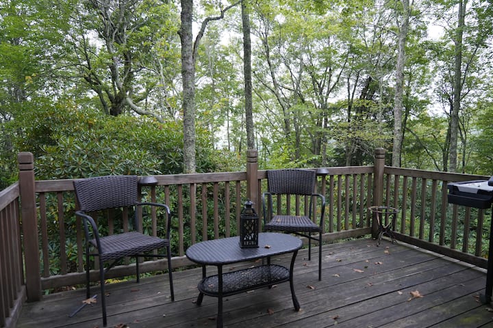 Banner Elk Cottage - Beech Mountain, NC