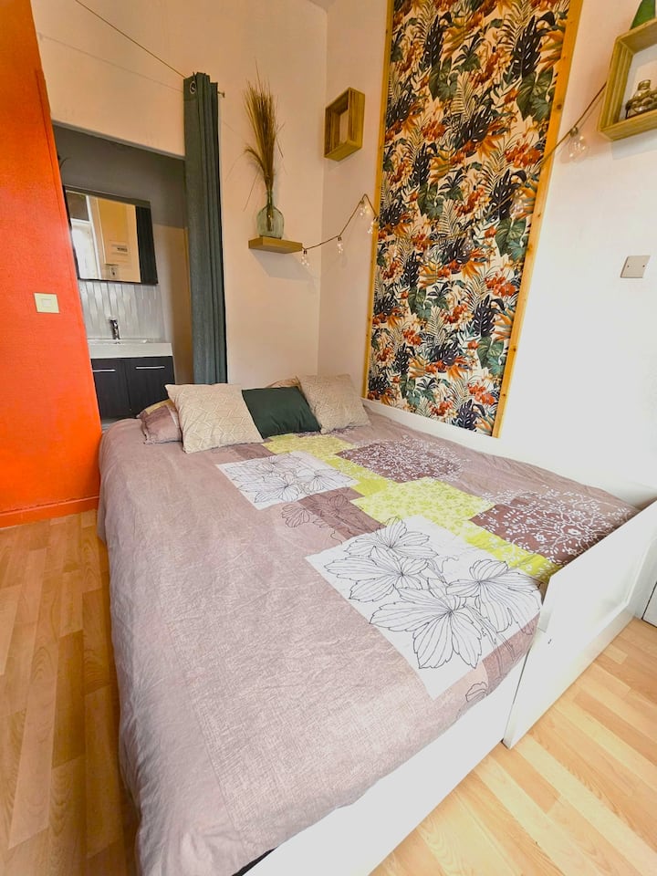 Le Studio Naturel - Noyelles-Godault