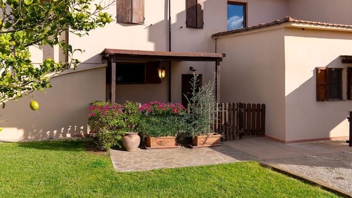 Appartamento Monolocale Con Patio Privato - San Vincenzo