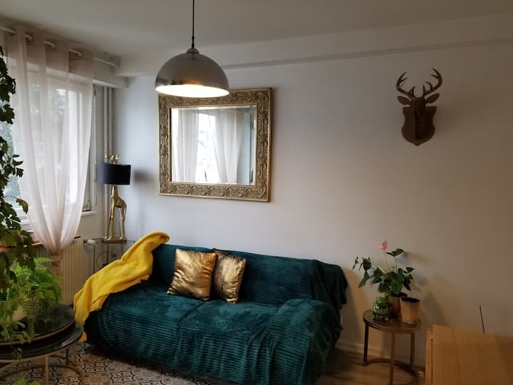 Appartement El Bijou Proche Gare - Strasbourg