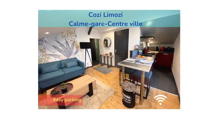 Cozi-limozi-gare-centre-vue Pano - Limoges