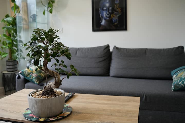 Logement Proche Aéroport Orly - Athis-Mons