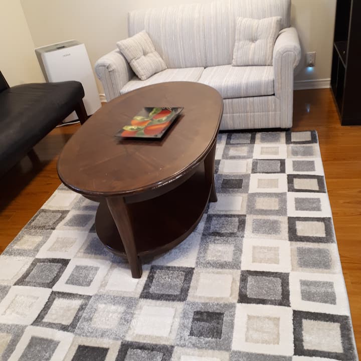 Whole Basement Apartment - 加蒂諾