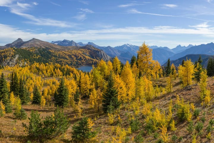 1 Gate To Banff!combo Units For Family/group 14ppl - Canmore