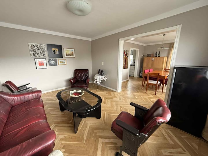 Center Appartment - Reykjavik
