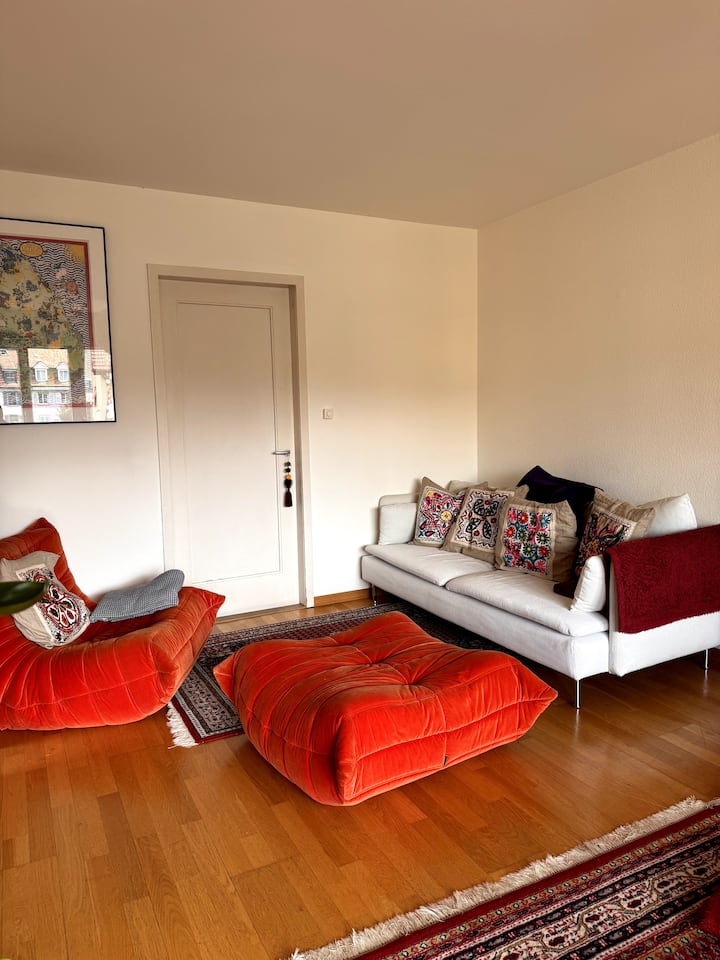 Cozy Sanctuary In Zurich - Zürich