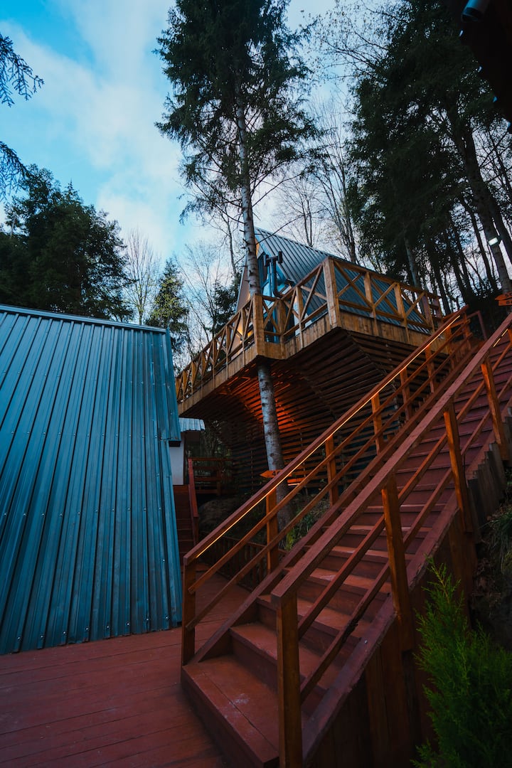 Montana Suite Bungalows Standart Room - Trabzon