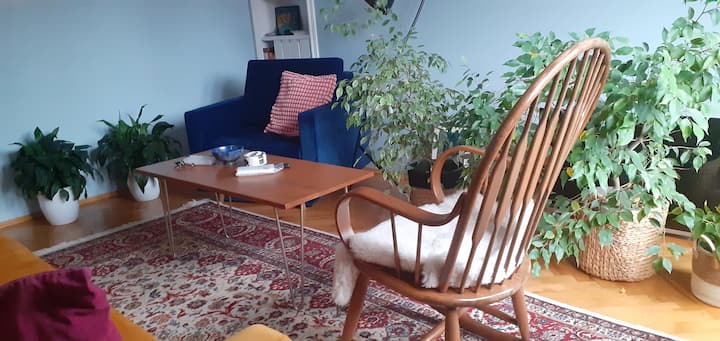 Charming Centrally Located Boho Home #Free Parking - Skopje