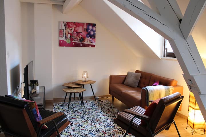 Charmant Duplex  Climatisé, 2 Chambres - Strasburgo