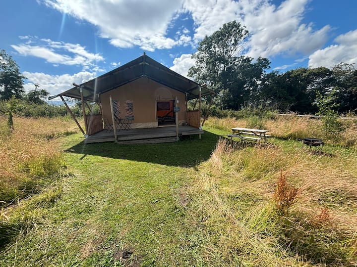 Buttercup Open-plan Safari Tent - Tewkesbury