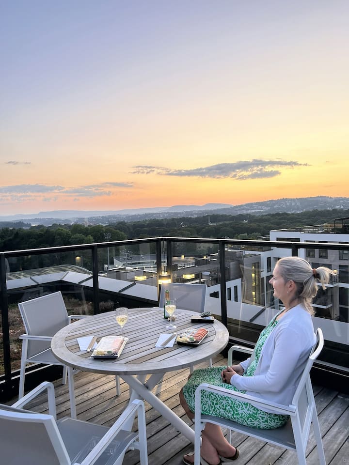 Moderne Og Sentral Leilighet Med Fantastisk Utsikt - Oslo