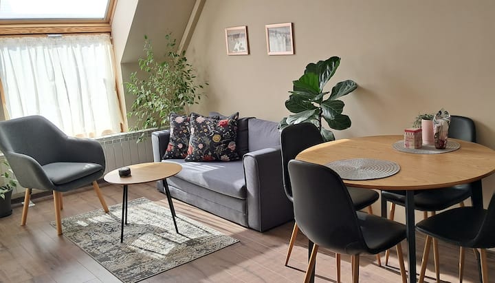 Apartment Eliza - Spacious And Bright - Sofia