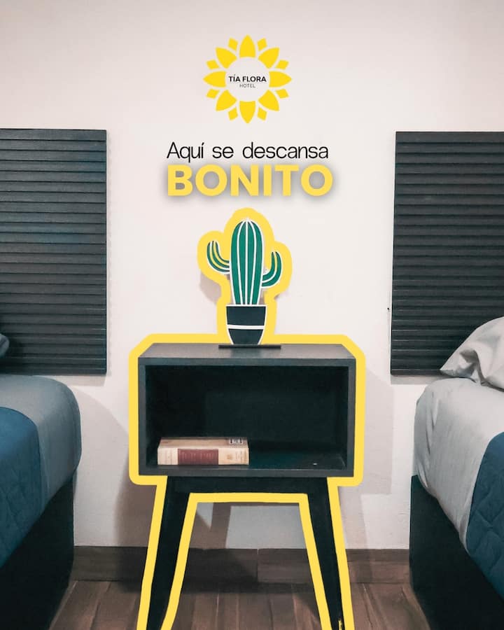 Encantador Apartamento#4 - León