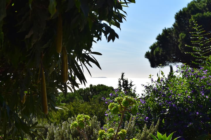 Joli Mas Provençal Avec Vue Mer - La Croix-Valmer
