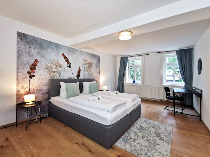 Bohnapartments Xl Suite Am Markt/wlan/zentrum - Ilmenau