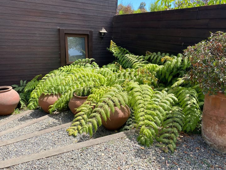 Casa Con Gran Quincho Y Cuba A Leña. - Santo Domingo