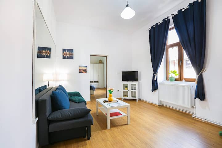 Old Town Relaxing&cozy Apartment - Timișoara