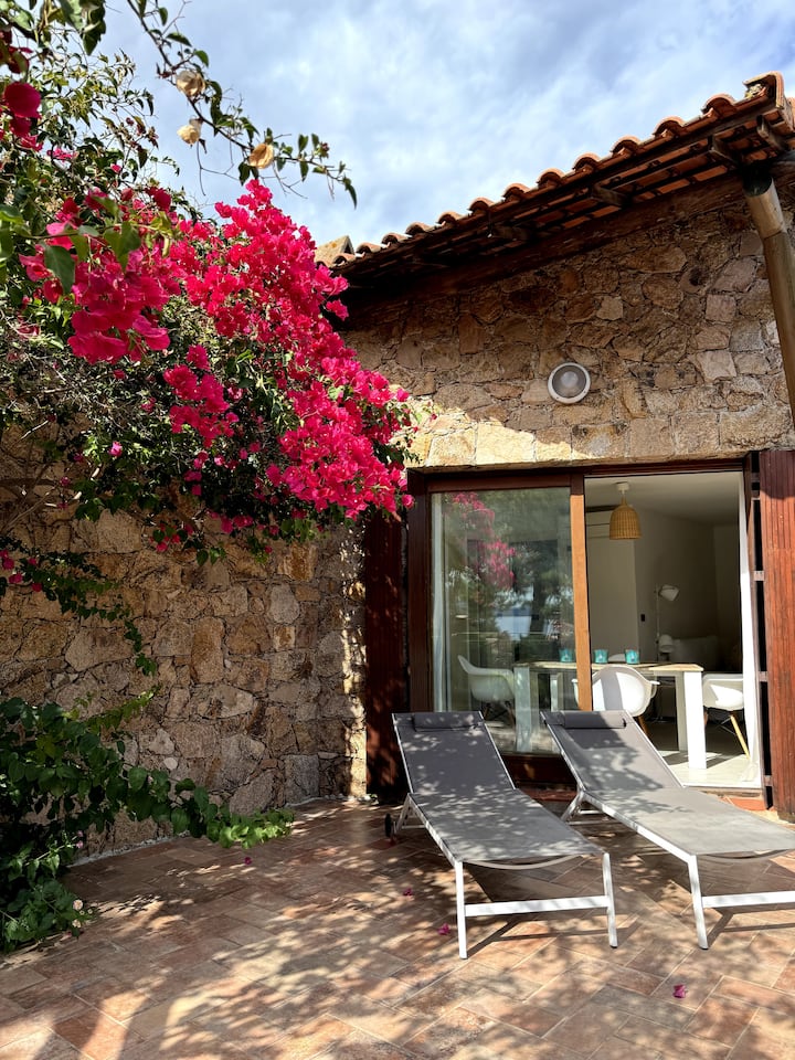 Nuovissimo Appartamento U Benedettu - Lecci