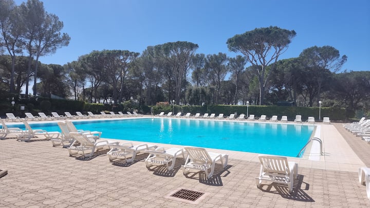 Chez K&d Studio Mer Avec Piscine St Raphaël - Saint-Raphaël