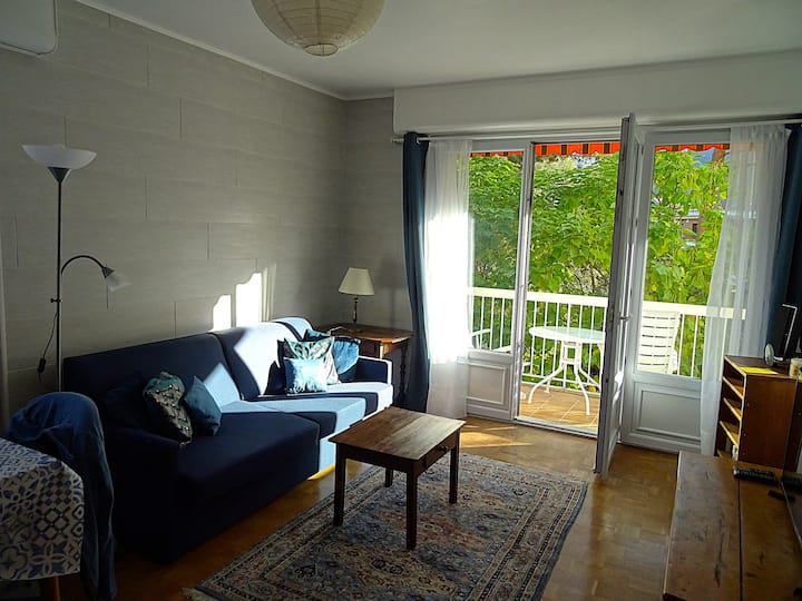 Proche Plage Albigny Impérial + Balcon Et Parking - Annecy
