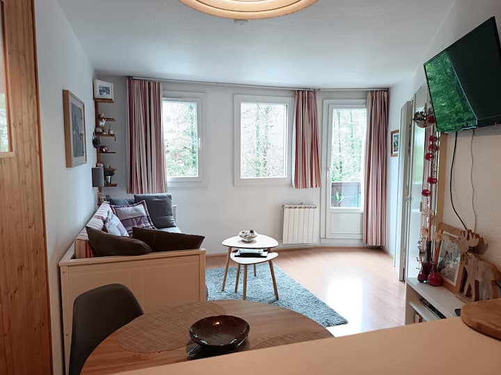 Appart Cosy Centre Ville 1 Chambre - Argentière