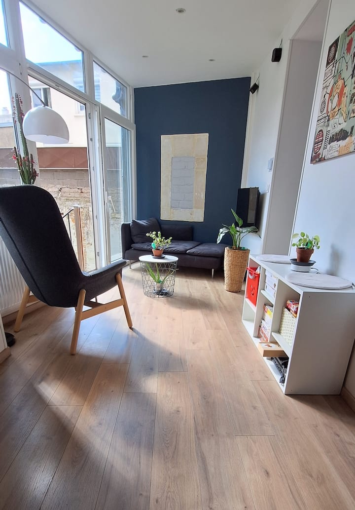 Appartement 2 Chambres Et Jardin Privé Tout éQuipé - Nancy