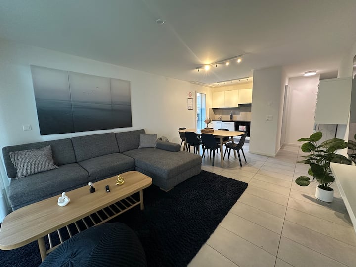 Great Apartment In Lausanne (G06) - Renens