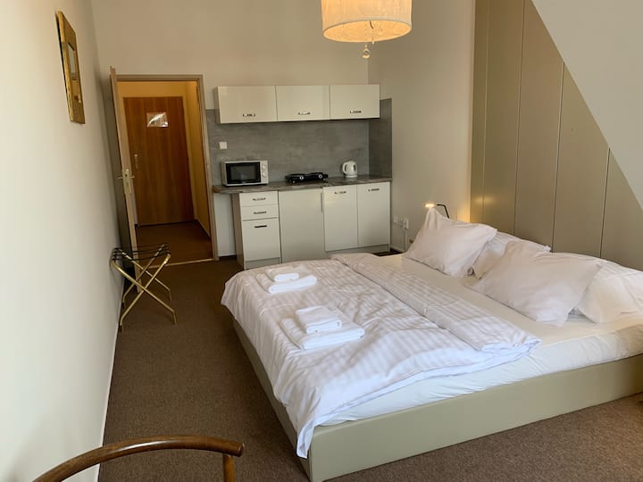Apartment U Pruhonu - Prague