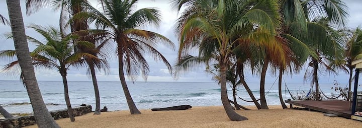 Free Wi-fi And Direct Ocean Views! - Cayman Islands