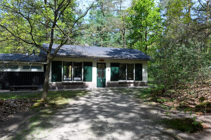 Forest House Wina - Ede