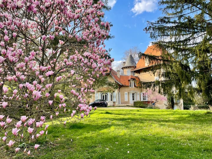 Chambre Bleue Dans Charmant Manoir Du 19ème Siècle - Dole