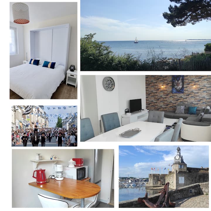 Ty Rouz Appartement à 500 M Du Sentier Côtier - Concarneau