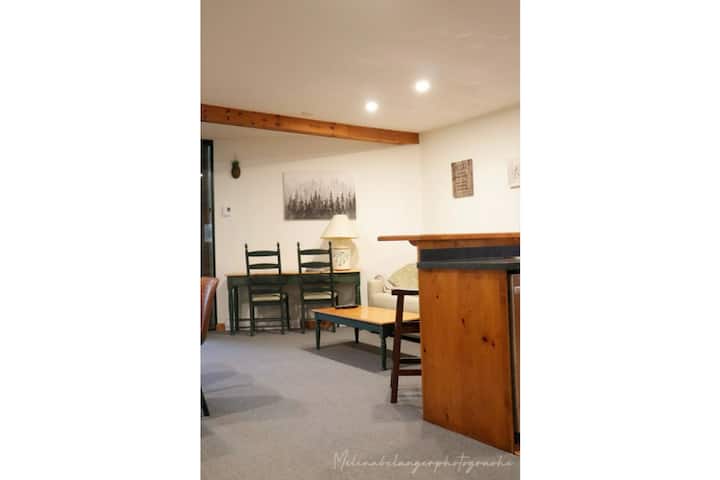 Meilleure Location 4 Saisons! - Mont-Tremblant
