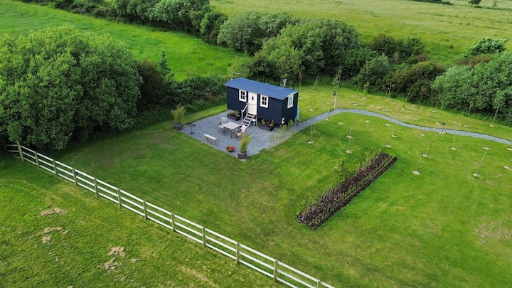 Alpacas + Luxury Shepherds Hut ‘George’ - Anglesey