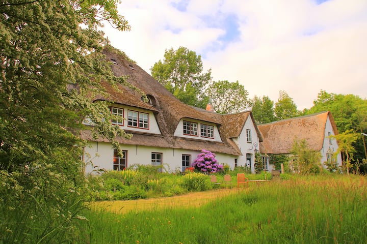 Idyllische Wohnung Im Haubarg - Starenkasten - Westerhever