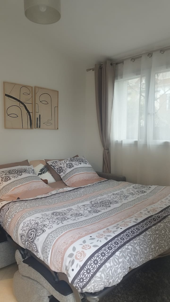 Appartement Charmant Et Calme Proche Paris. - Le Kremlin-Bicêtre