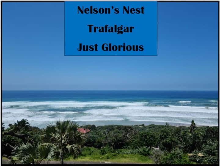 Nelson's Nest Just Glorious! - Port Edward