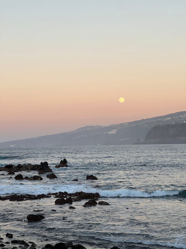 Connectez-vous Avec La Nature - Buenavista del Norte