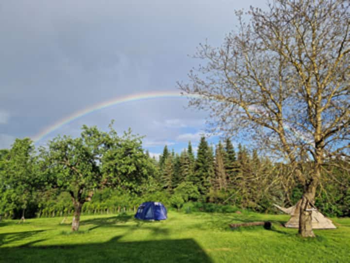 Camping In Regenthal - Betzenstein