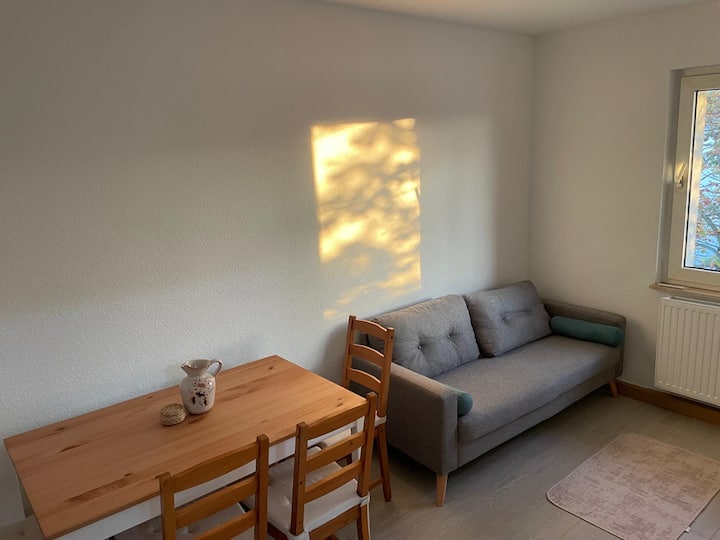 2 Bedroom Apart. Near To Train - Bodenheim